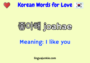 Korean Words for Love: Top 20 Explained.