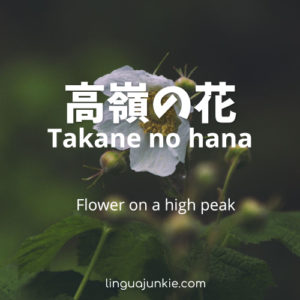 55+ Beautiful Japanese Words You'll Love