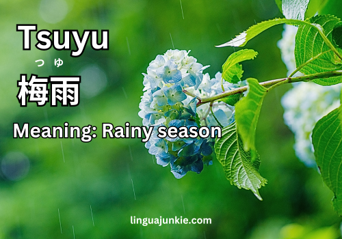 25 Japanese Summer Words - Explained in English!