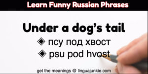 Top 10 Funny Russian Phrases & Sayings You Should Know