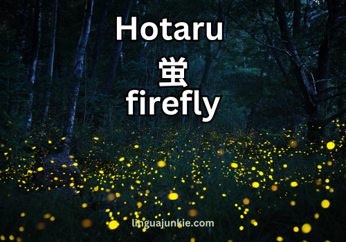 25 Japanese Summer Words - Explained in English!