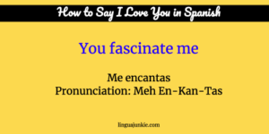 15+ Fluent Ways to Say I Love you in Spanish. Phrase Lesson.