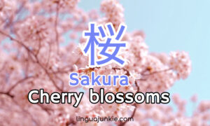 24 Japanese Spring Words that Fluent Speakers All Know