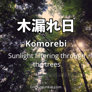 55+ Beautiful Japanese Words You'll Love
