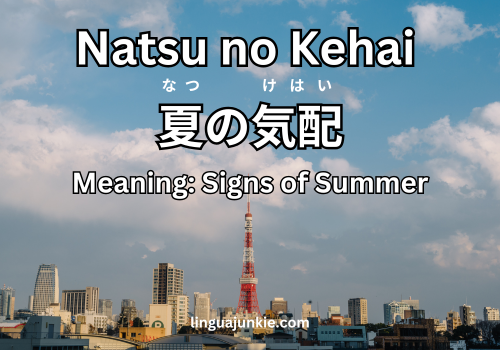 25 Japanese Summer Words - Explained in English!