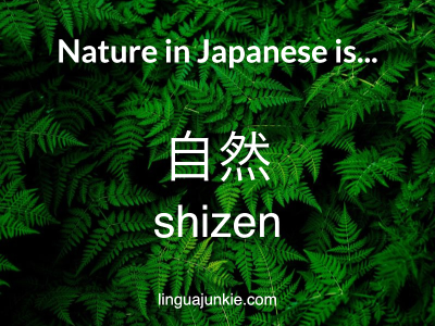 70+ Japanese Nature Words You Should Know