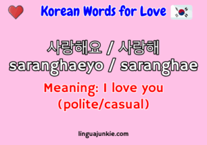 Korean Words for Love: Top 20 Explained.