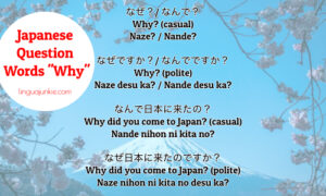 9 Japanese Question Words that Learners Like You Need in Your Brain