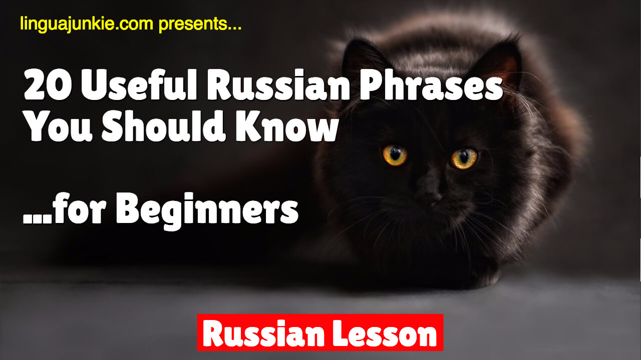 Russian Lesson Learn 20 Useful Russian Phrases For Beginners